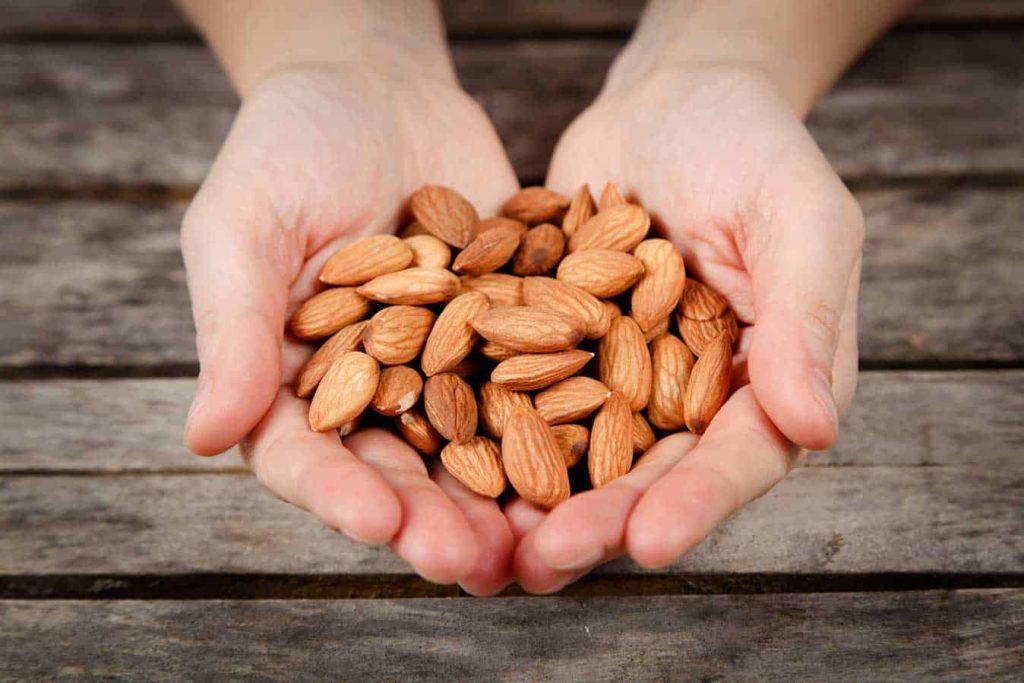 The Healthy Chef’s top 5 snacks to get you through a shift - ANMJ