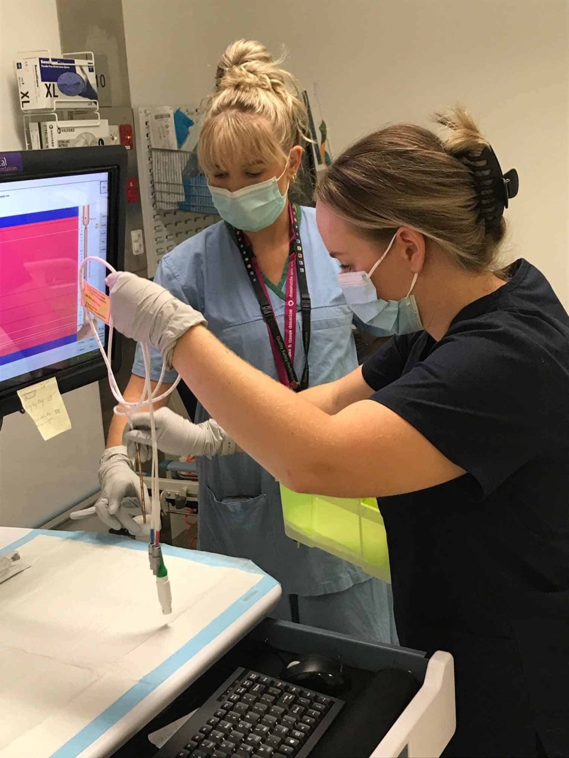 Scoping and redesign of the nursing and midwifery clinical facilitator ...